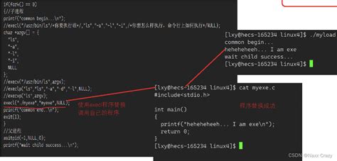 Linux进程替换以及进程替换函数linux 程序替换函数 Csdn博客