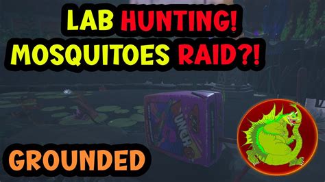 The Pond Lab Ant Lab Mosquitoes Declare War Grounded YouTube