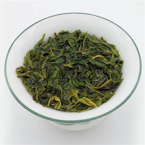 2023新头春茶广东梅州客家特产梅县清凉山绿茶特级高山云雾茶叶虎窝淘