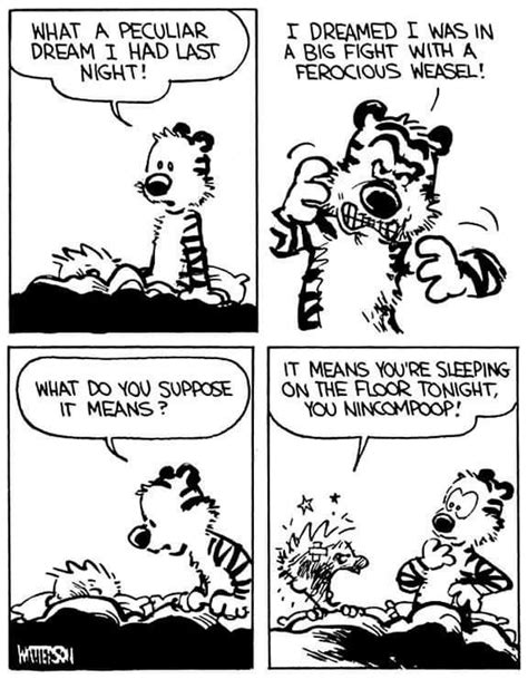 Pin By Donna Morris On Calvin Calvin And Hobbes Comics Calvin And