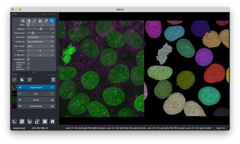 image analysis and visualization in python with scikit image napari