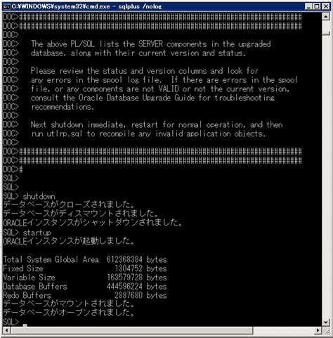 Oracle Database 10g Psr 10205 インストール Oracle Documents Project Group