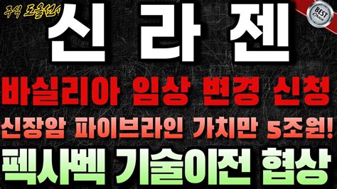 신라젠 주가분석 바실리아 임상 변경 신엋 완료 이제 슬슬 신라젠 급등가자~ 신라젠전망 신라젠 신라젠주가전망 신라