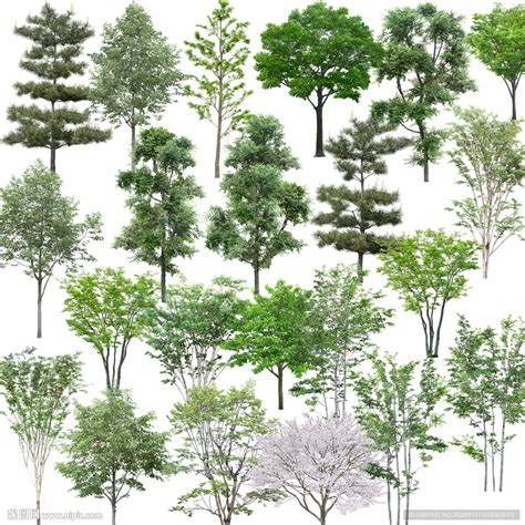 植物素材设计图 PSD分层素材 PSD分层素材 设计图库 昵图网