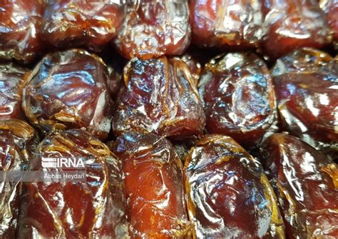 فیلم پنجمین نمایشگاه بین‌المللی خرما و صنایع وابسته در بوشهر ایرنا