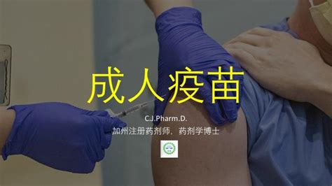 成人需要打哪些疫苗？ 视频首页 美国中文网视频