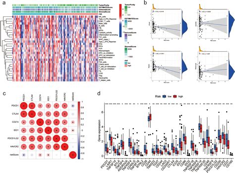 Comprehensive Analysis Of Alternative Splicing Signatures In Pancreatic