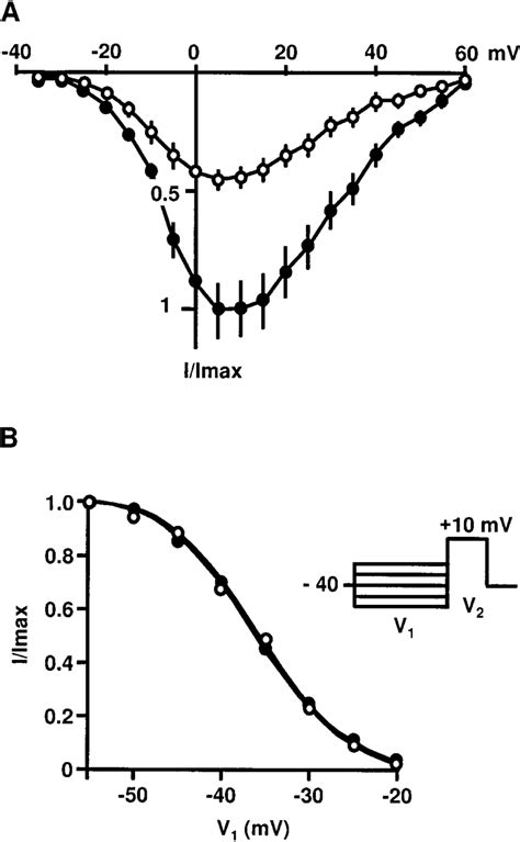 Effects Of G On The Current Voltage Relationship And The Steady State