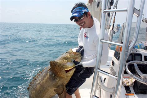 How To Catch Goliath Grouper Tips For Fishing For Goliath Grouper