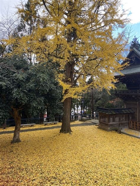 東北の山遊び雑記帳 東照宮