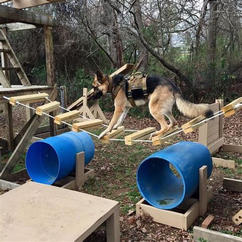 34 Simple Diy Playground Ideas For Dogs Homemydesign