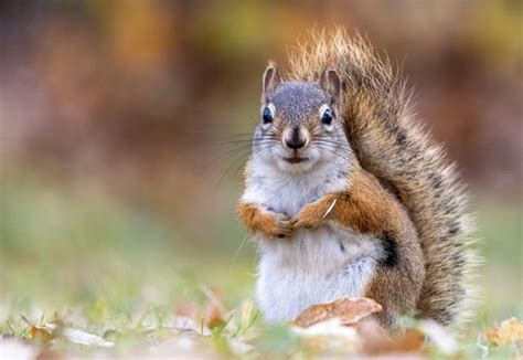 Bird Seed Thief Rwildlifephotography