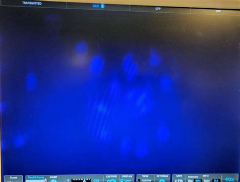 Solved 8 Acquiring Images With Evos Microscope Lab Goal