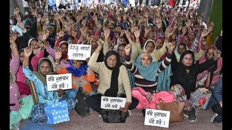 Ludhiana Pau Contract Employees Continue Protest Hindustan Times