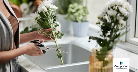 Caitlyn Bennett On Linkedin Does Your Policy Need To Be Refreshed And Renewed Reach Out Today For…