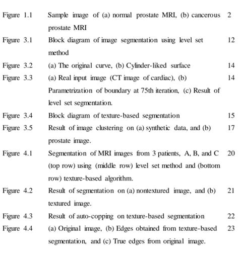 Pdf Segmentation Of Mri Prostate Images Universiti Teknologi Petronas