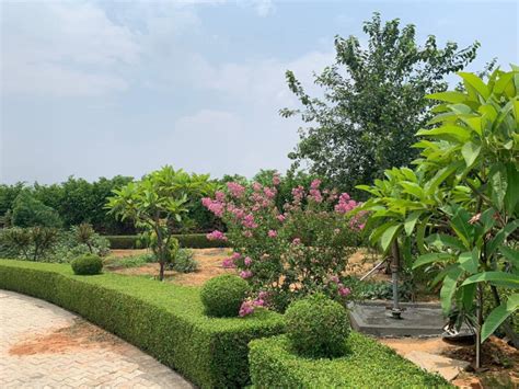 Agricultural Land 2 Acre For Sale In Sohna Road Gurgaon Rei1249843