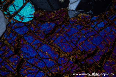 Olivine Thin Section