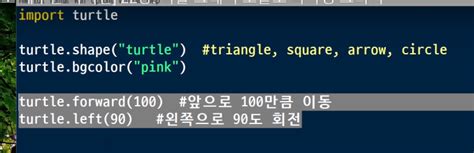 예제로 배우는 파이썬 22강 터틀 그래픽 모듈로 다각형 그리기 네이버 블로그
