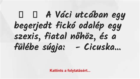 Vicc A Váci Utcában Egy Begerjedt Fickó Odalép Egy Szexis