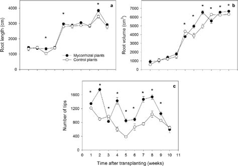 Evolution Of The Root Length A Root Volume B And Number Of Root Download Scientific