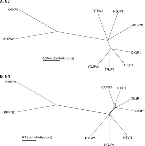 Phylogenetics And Population Genetics Of The Asian House Shrew Suncus