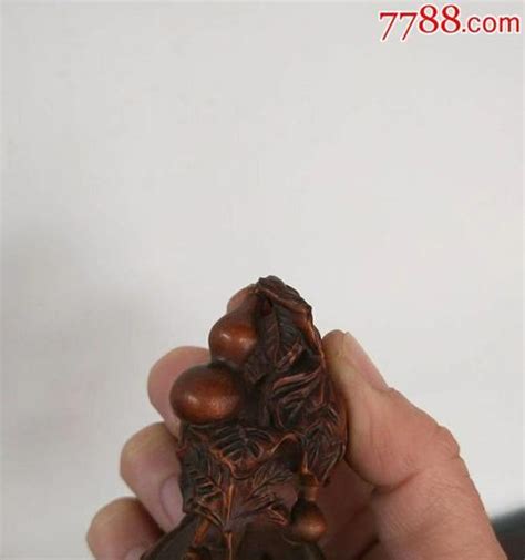 黄杨树 花木指南