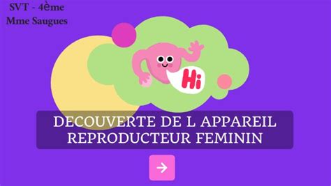 4e Fonctionnement App Repro Féminin Genially
