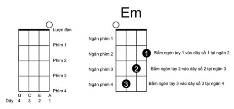 12 Hợp Âm Ukulele Cơ Bản Nhất Cho Người Mới Tập Gió Guitar Đà Nẵng