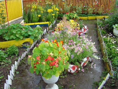 Подскажите какие цветы можно посадить в вазоны для улицы чтобы цвели долго Ответы Mail