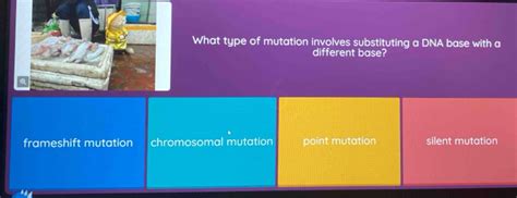 Solved What Type Of Mutation Involves Substituting A Dna Base With A Different Base Frameshift