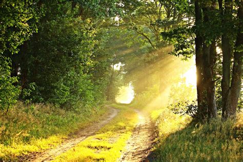 who is god god is omnipresent omnipotent and omniscience