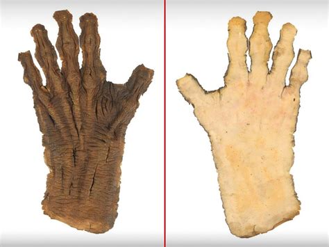 Killer Horror Movie Memorabilia Up For Auction