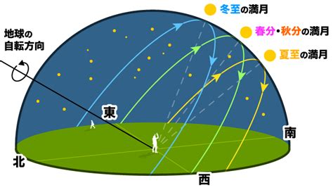 【今日は満月】夏の満月は大きく見える？ ウェザーニュース