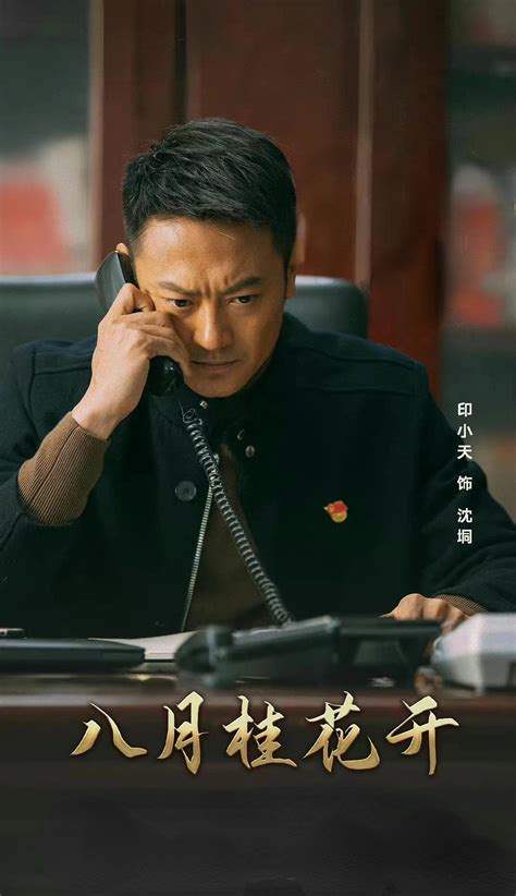 八月桂花开 淘剧淘