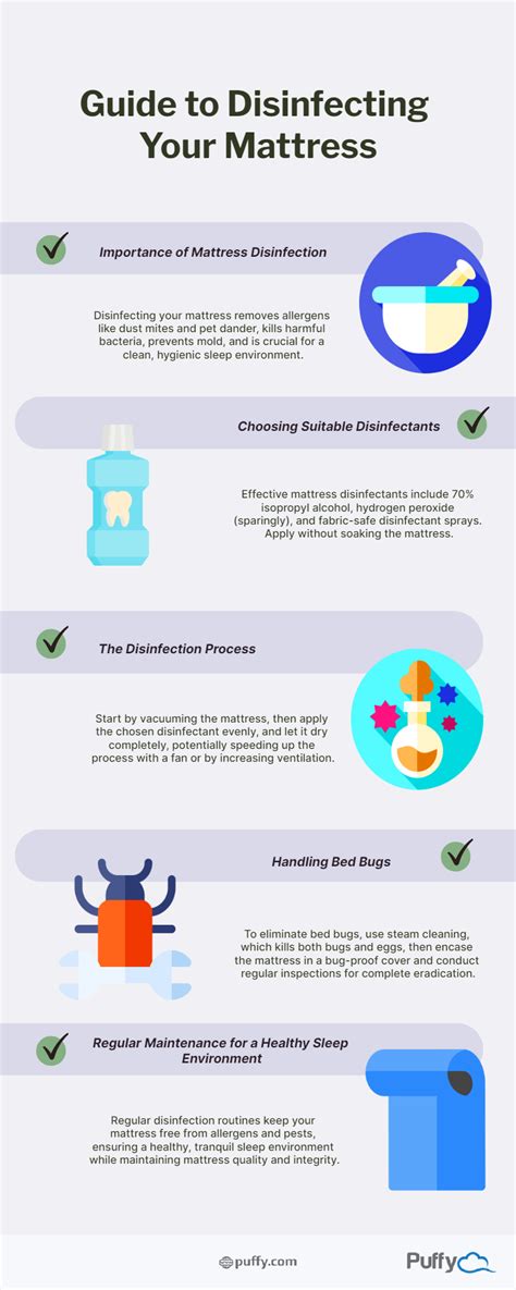 🦠 How To Disinfect A Mattress Official Sanitization Guide