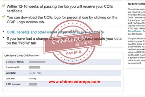 Latest CCIE Dumps Cisco Core Exam Question