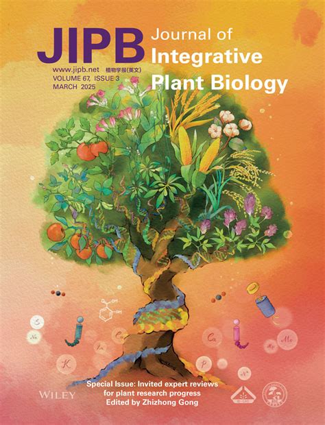 Big Data And Artificial Intelligence‐aided Crop Breeding Progress And Prospects Zhu 2025