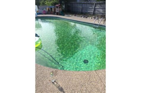 Pool Turned Green Overnight Heres What You Need To Do