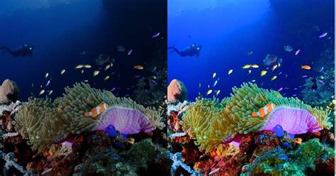Gopro Underwater Color Correction Guide Retouching Labs