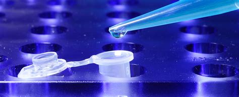 50 µl Of Sample Is All You Need For A Series Of Stopped Flow Experiment