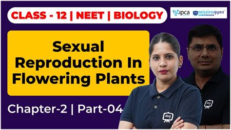 Neet Class 12 Biology Chapter 2 Sexual Reproduction In Flowering