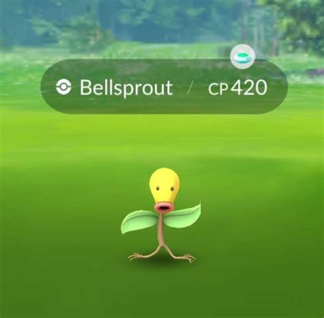 Bellsprout Community Day The Daily Spuf