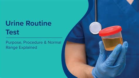 Urine Routine Test Normal Ranges Purpose Procedure And When To Retest