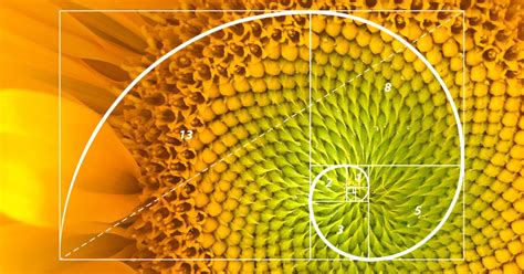 Fibonacci Sequence Blitz Quiz