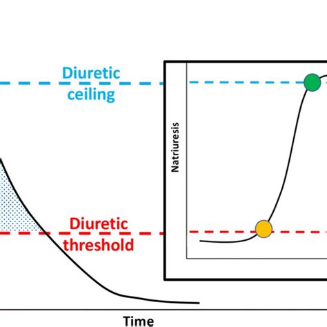 Low Ceiling Diuretics