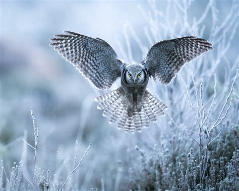 Andreas Danielsson Photography