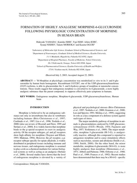 Pdf Formation Of Highly Analgesic Morphine 6 Glucuronide Following