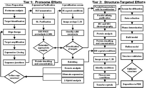 The Jcsg Integrated High Throughput Structure Pipeline Structure Download Scientific Diagram
