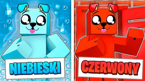 KOLOROWY CHOWANY W Minecraft YouTube